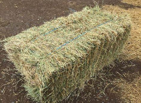 MEADOW HAY BALE – Baba G's Farm