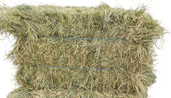 TEFF HAY – Baba G's Farm