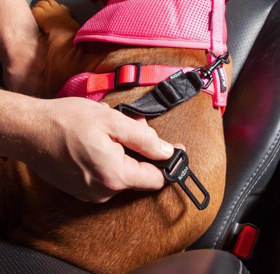 KAZOO DOG CLICK CLACK SEATBELT CONNECTOR - 45MM – Baba G's Farm