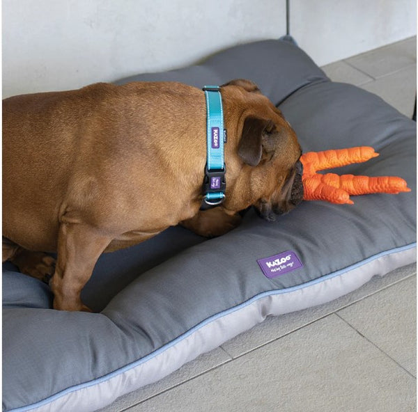 KAZOO CHOOK FOOT – Baba G's Farm