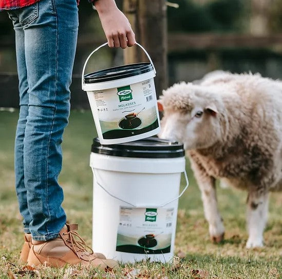 GREEN VALLEY NATURALS HORSE MOLASSES 5KG – Baba G's Farm