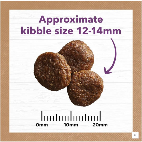 IVORY COAT DOG MATURE TURKEY 13KG – Baba G's Farm