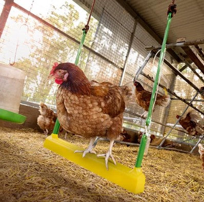 BAINBRIDGE CHICKEN SWING – Baba G's Farm