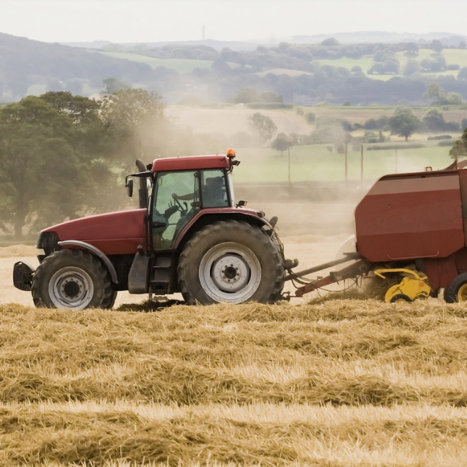 Baba G Farm – Baba G's Farm